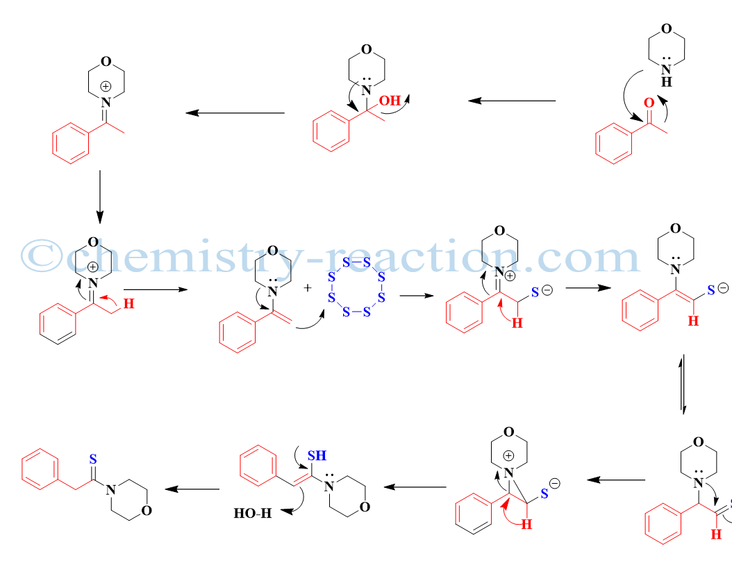 Willgerodt-Kindler Reaction « Organic Chemistry Reaction