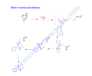 Ritter Reaction « Organic Chemistry Reaction
