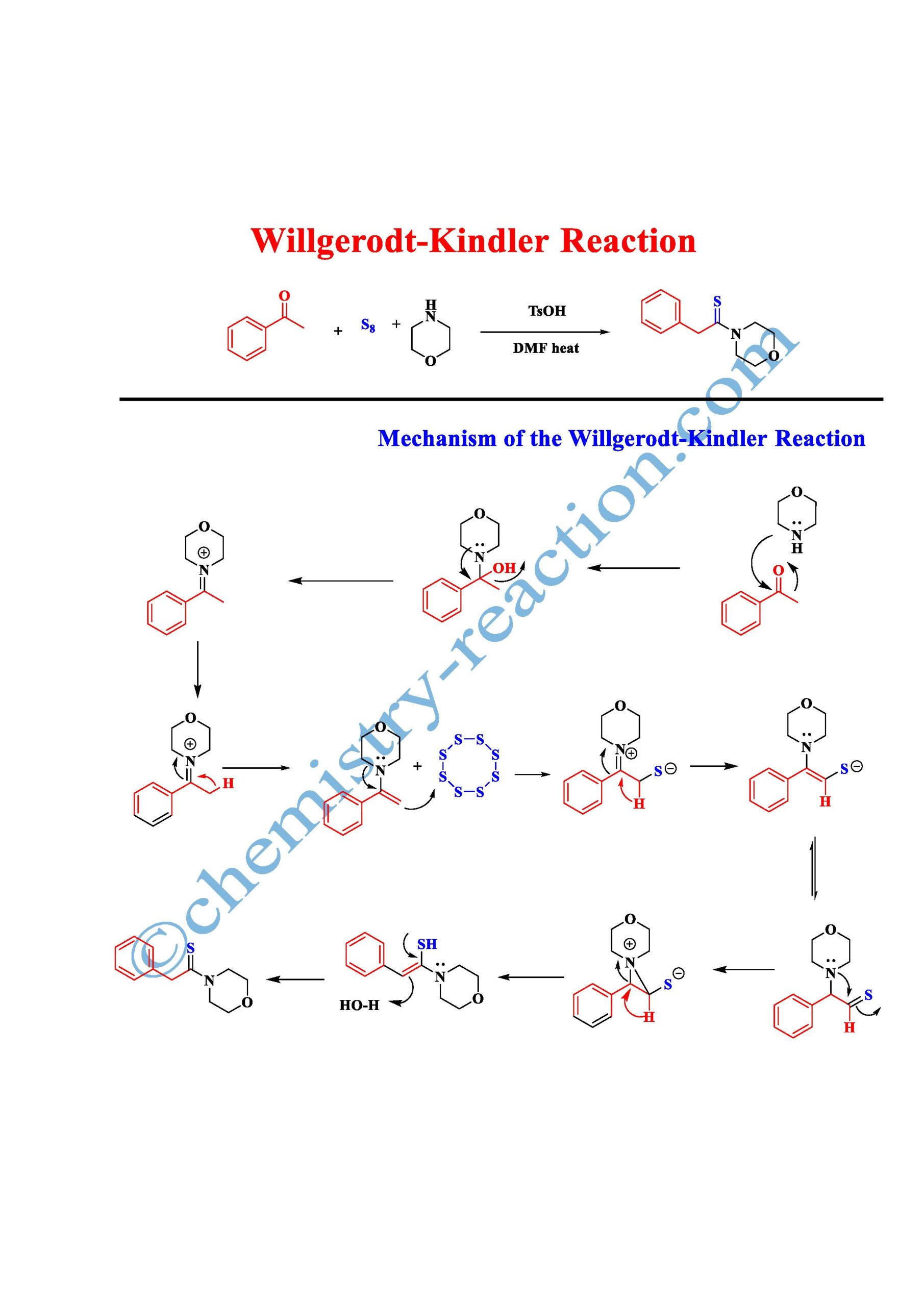 Willgerodt-Kindler Reaction « Organic Chemistry Reaction