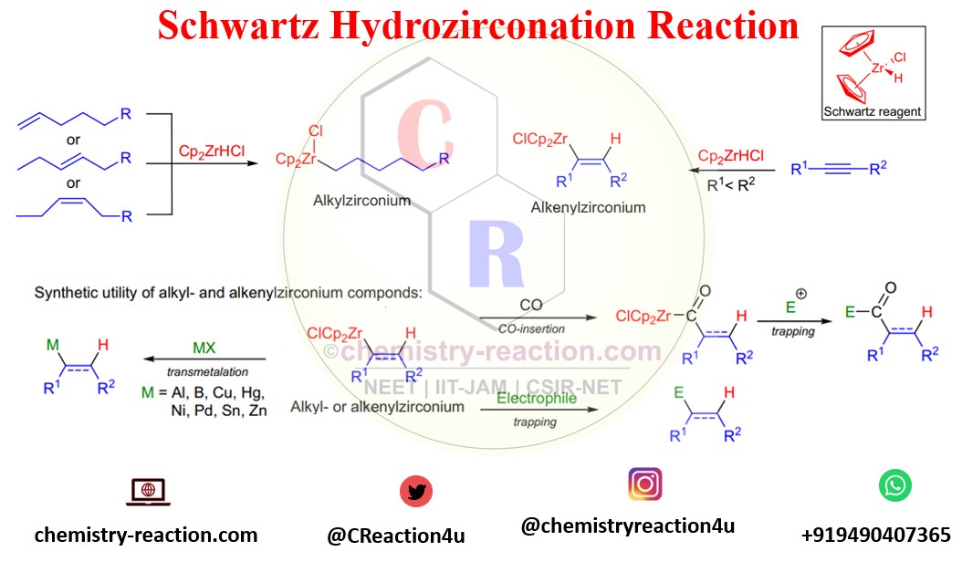 Schwartz Hydrozirconation Reaction « Organic Chemistry Reaction