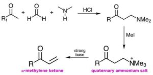 Mannich Reaction : Definition, Mechanism, Application, Explanation