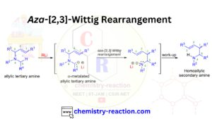 Aza-[2,3]-Wittig Rearrangement: Mechanism | Examples « Organic ...