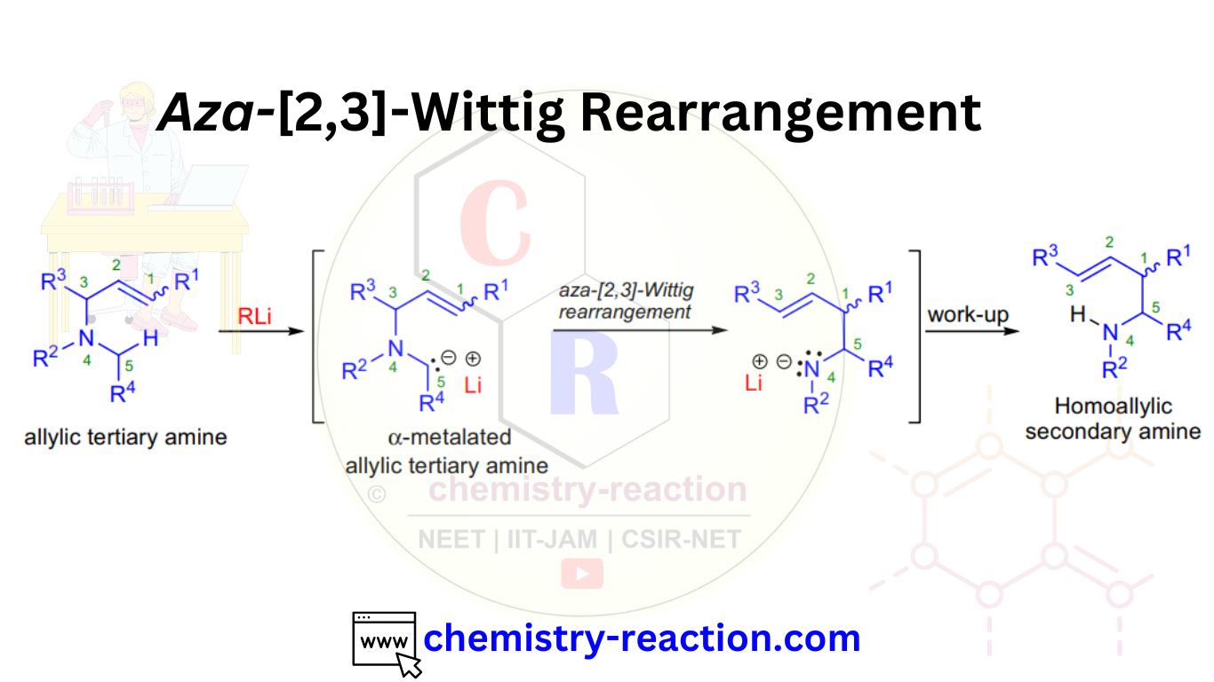 Aza-[2,3]-Wittig Rearrangement: Mechanism | Examples « Organic ...