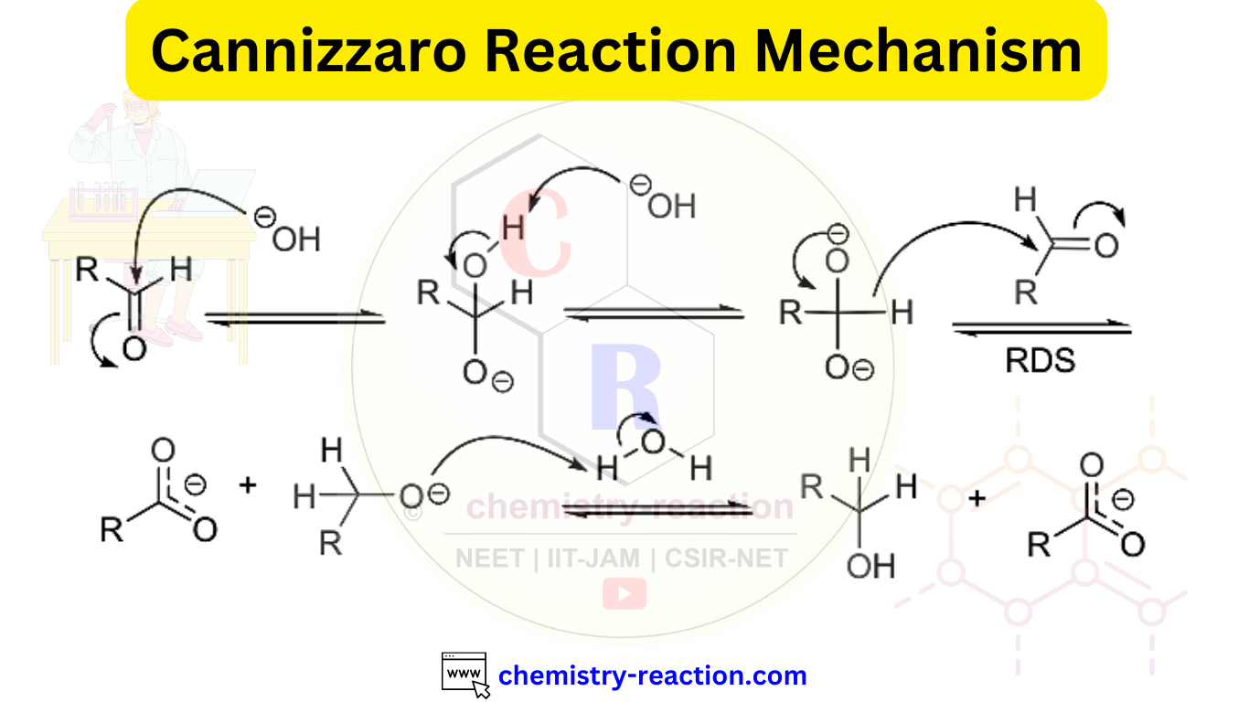 Cannizzaro Reaction: Mechanism | Examples