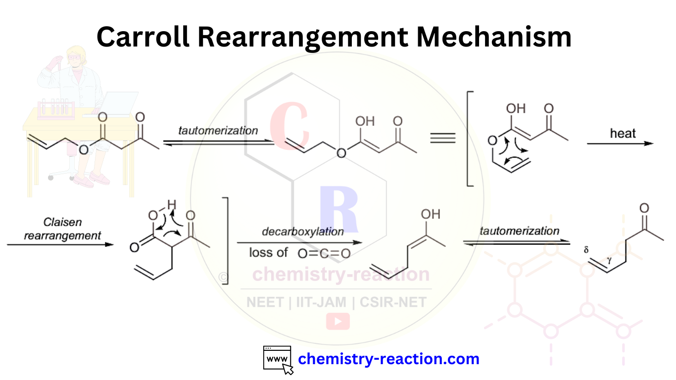 Carroll Rearrangement: Mechanism | Examples